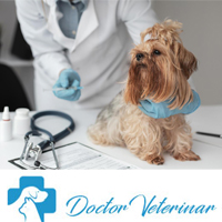 Doctor Veterinar • Medic Veterinar • Cabinet Veterinar Consultatii ...